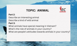 IELTS Speaking Topic: Animals - IEC Edu